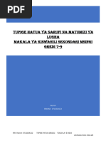 Mfano Wa Insha | PDF