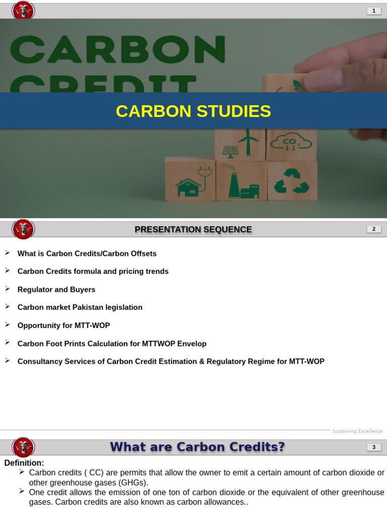 Carbon Credits Overview and Opportunities | PDF | Climate Change ...