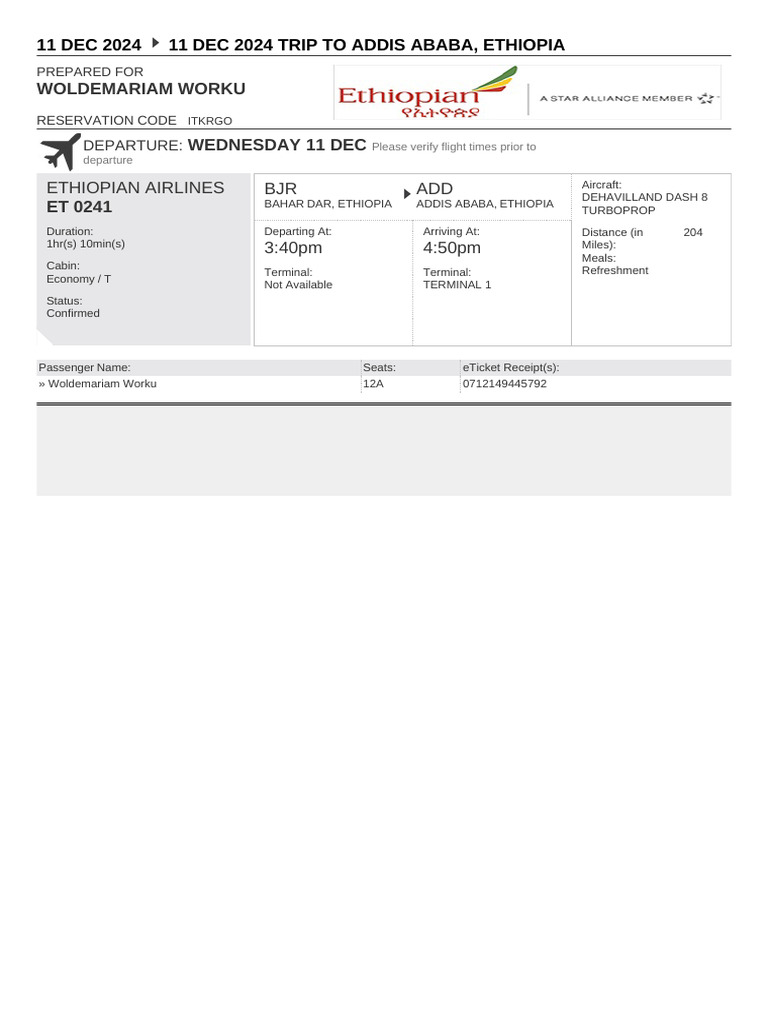 Travel Reservation December 11 For WOLDEMARIAM WORKU | PDF