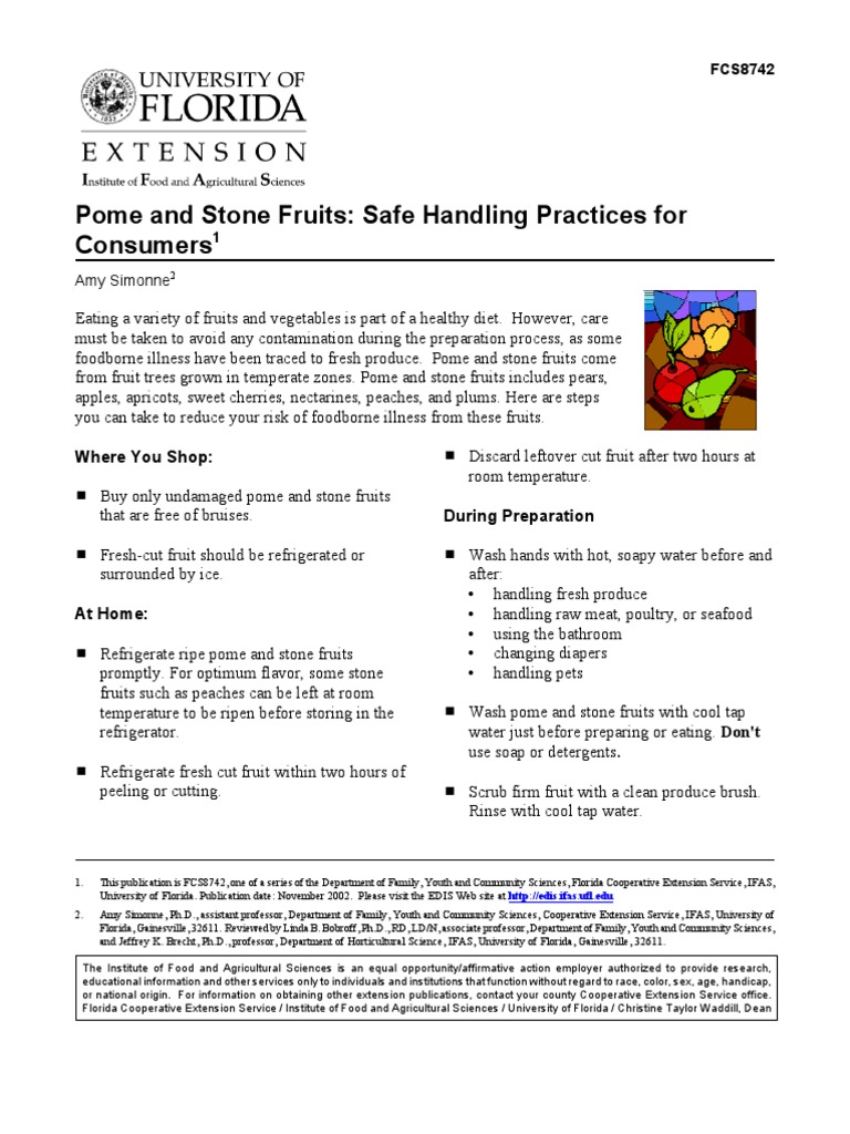 Pome and Stone Fruits | PDF | Peach | Fruit