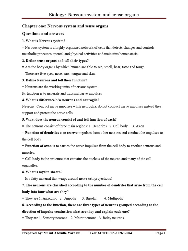 Biology Direct Questions | PDF | Neuron | Nervous System