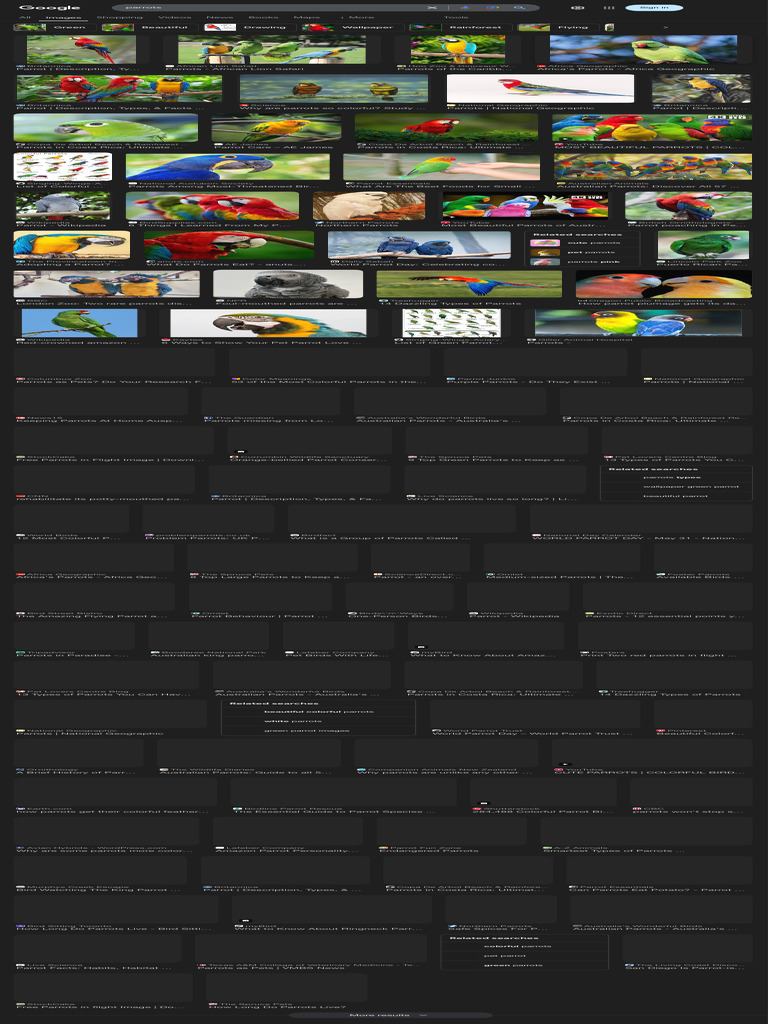 Parrot | PDF | Parrot | Birds