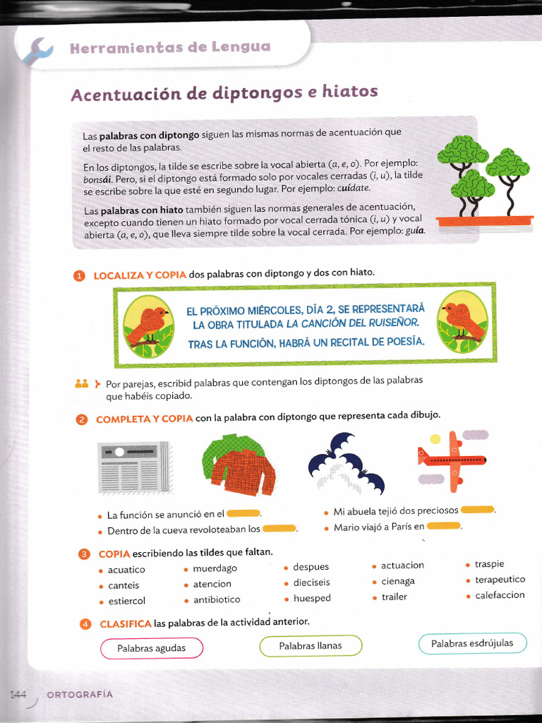 Acentuación: Diptongos y Hiatos | PDF | Lingüística | Voz humana