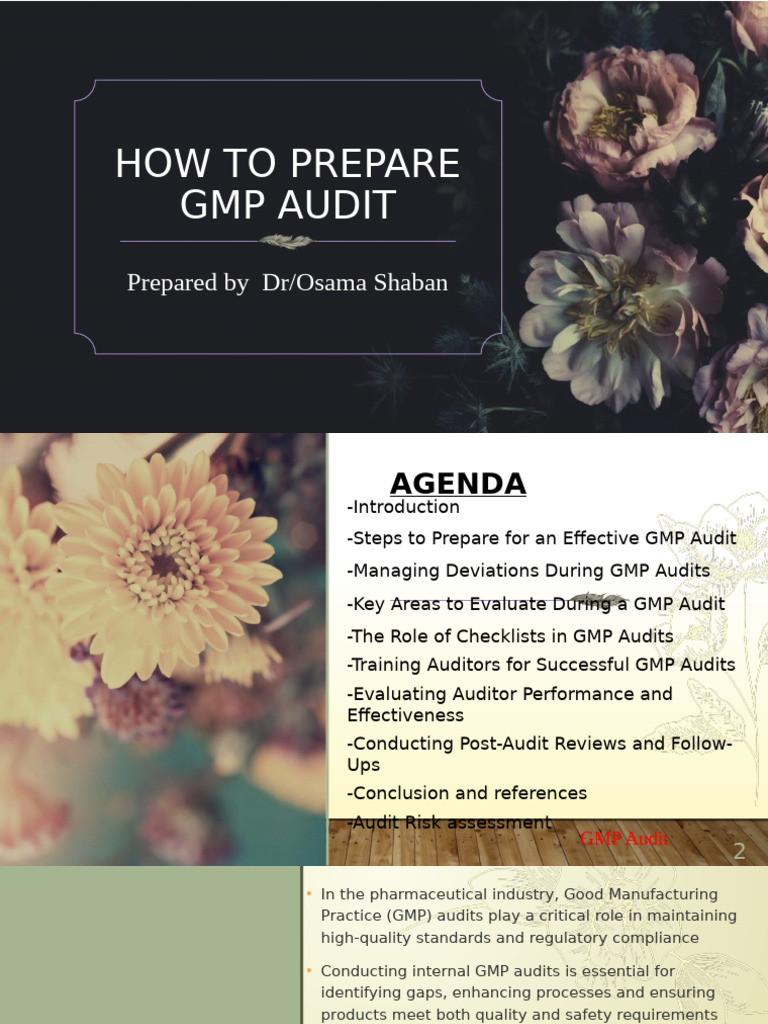 How To Prepare GMP Audit | PDF | Audit | Internal Audit