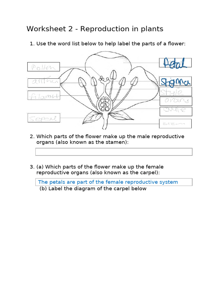 Worksheet 2 - Reporduction in Plants | PDF