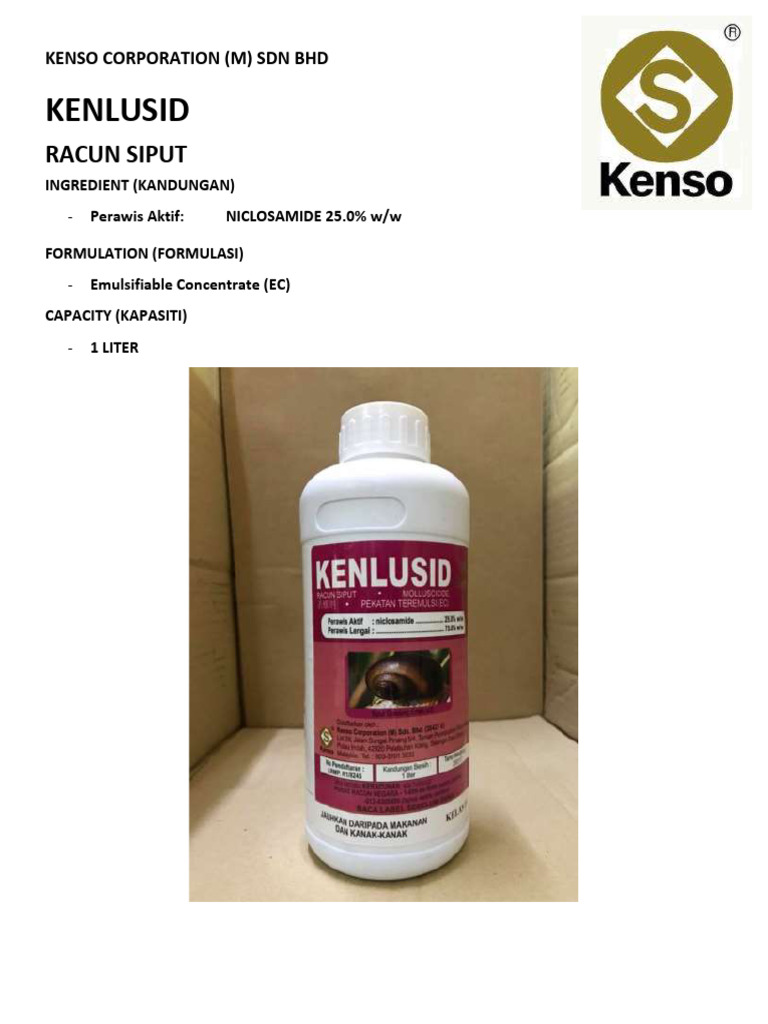 1L KENSO KENLUSID | PDF