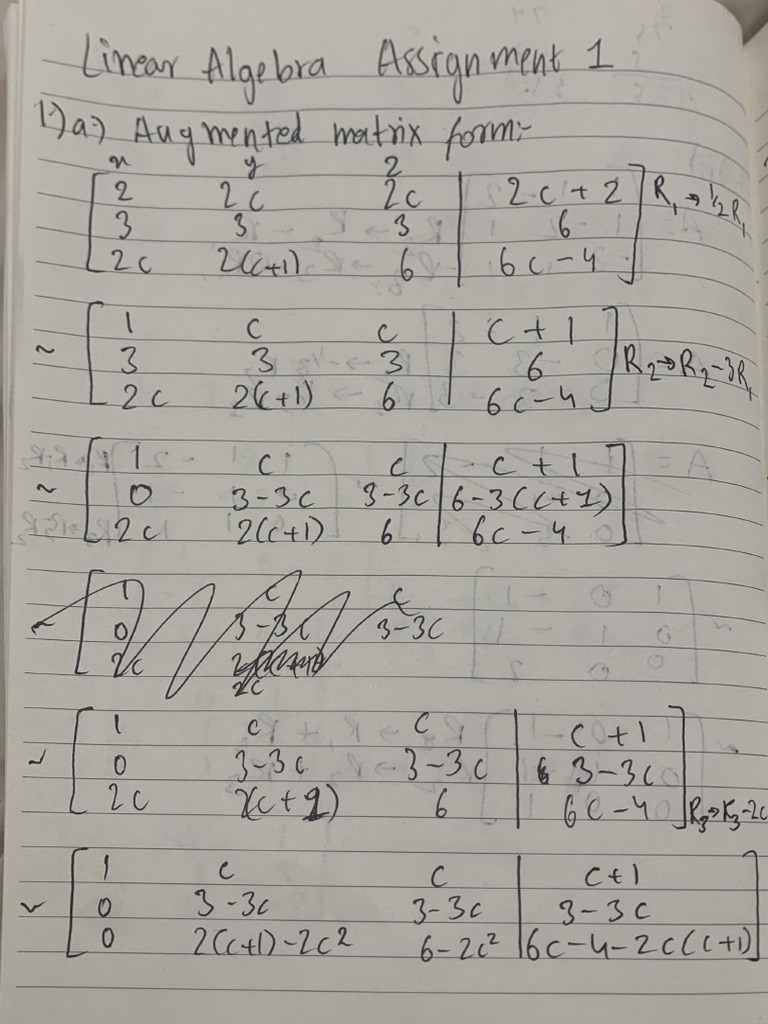 Assignment 1 Linear Algebra | PDF