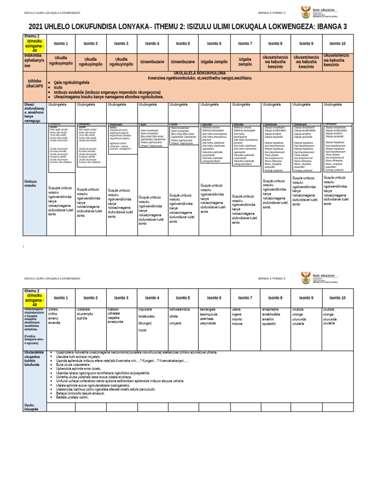 Isizulu ATP Grade 3 Term 2 Guide | PDF