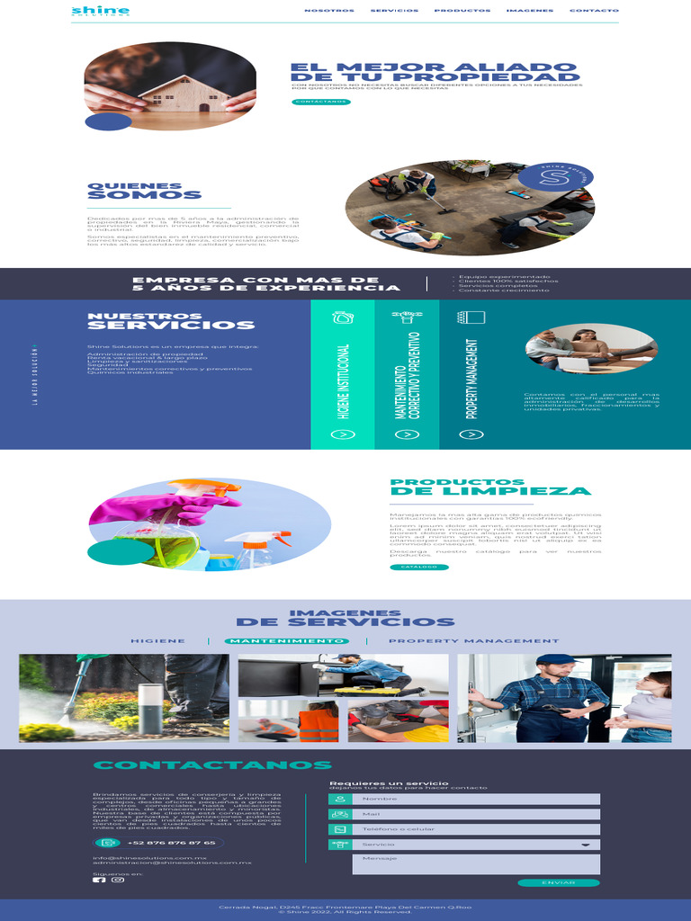 Pagina Web Shine | PDF