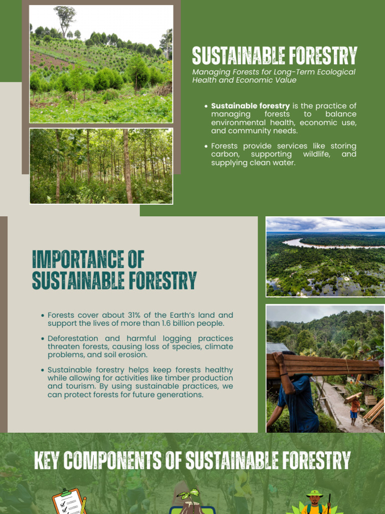 Sustainable Forestry | PDF