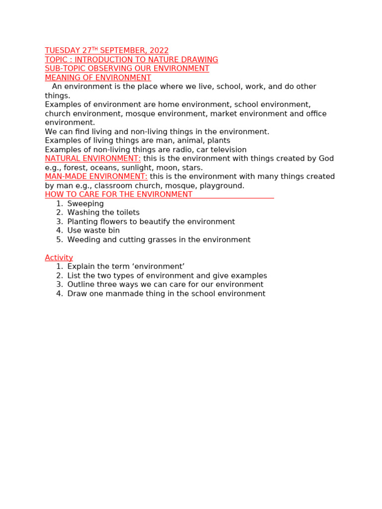 Year 3 Nature Drawing | PDF
