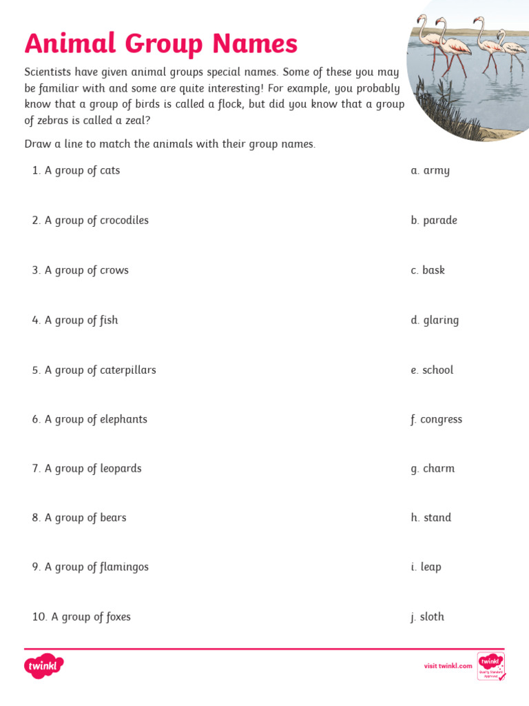Unique Names for Animal Groups | PDF