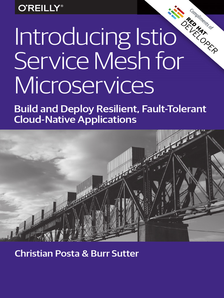 Introducing Istio Service Mesh For Microservices | PDF | Proxy Server ...
