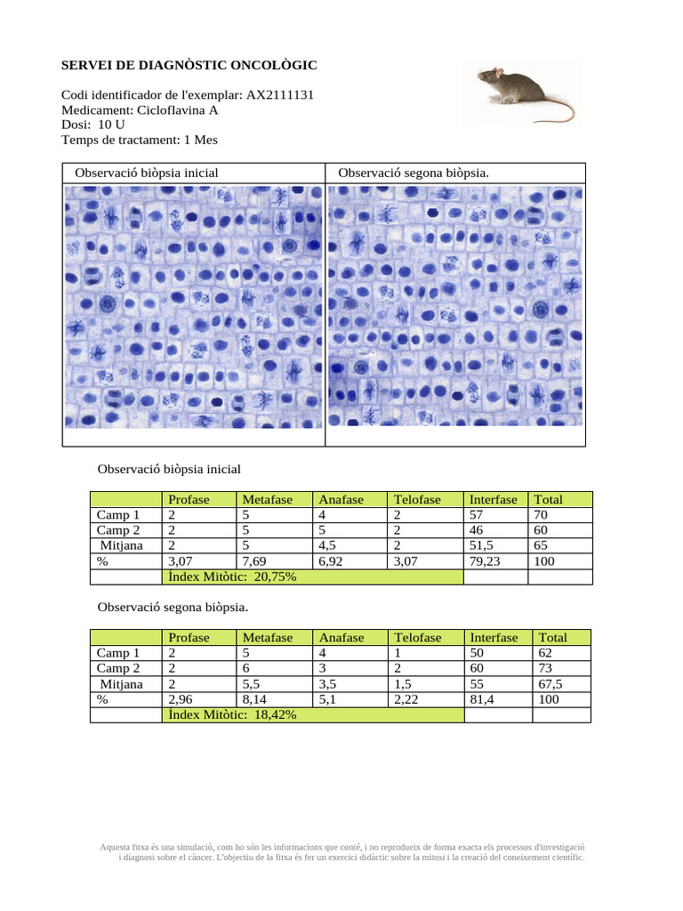 Tania Rojas Ochoa Ficha | PDF
