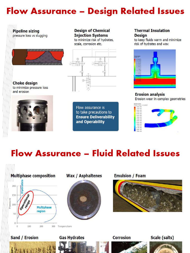 Flow Assurance-Design & Fluid Related Issues | PDF