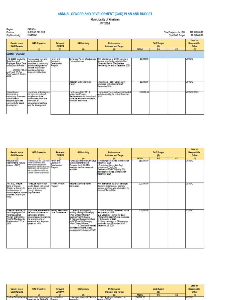 Hinatuan Barangay GAD Plan 2024 | PDF | Rape | Psychosocial