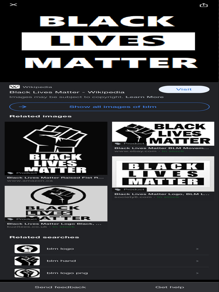 BLM - Google Search | PDF