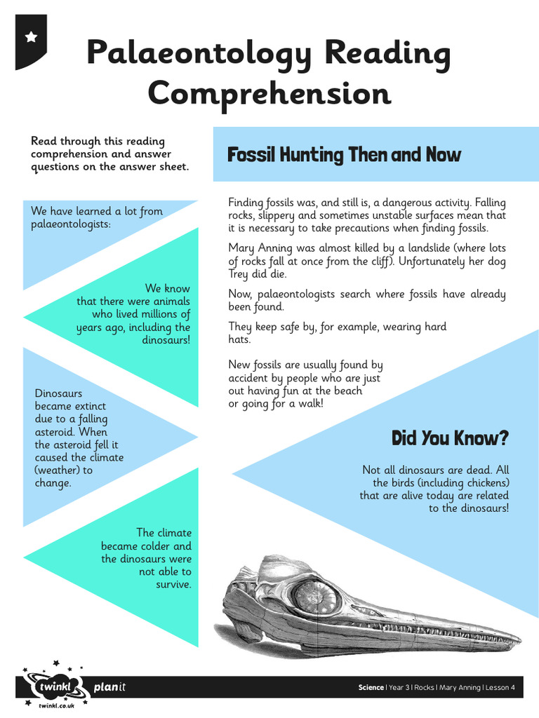 Palaeontology Reading Comprehension | PDF | Paleontology | Dinosaurs