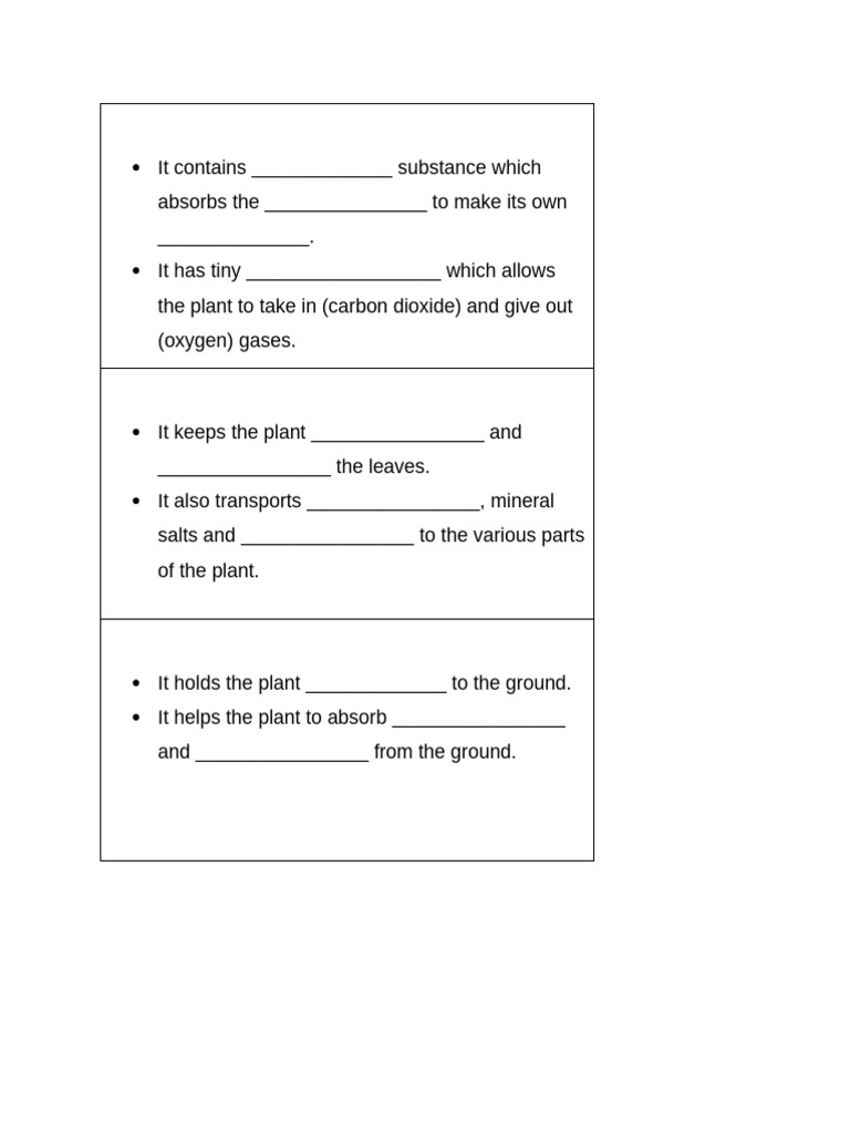 Functions of Plant Parts | PDF