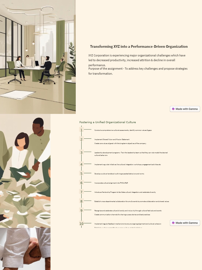 Transforming XYZ Into A Performance Driven Organization | PDF | Leadership | Mentorship