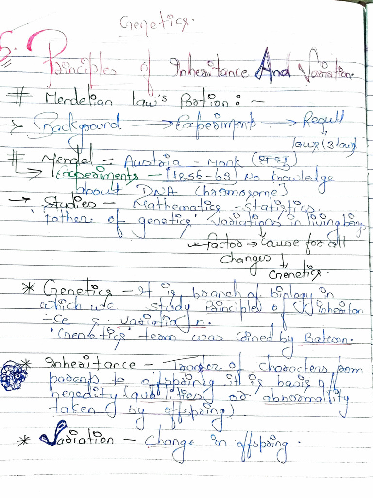 Genetics Chapter 5 | PDF