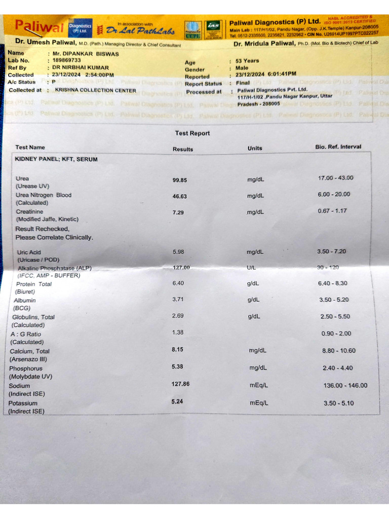 Diagnostics (Report For The Month of December 2024 Latest) | PDF