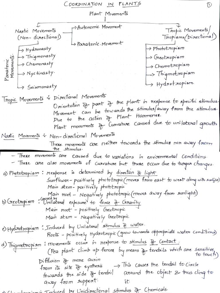 Coordination in Plants | PDF | Plant Physiology | Plants