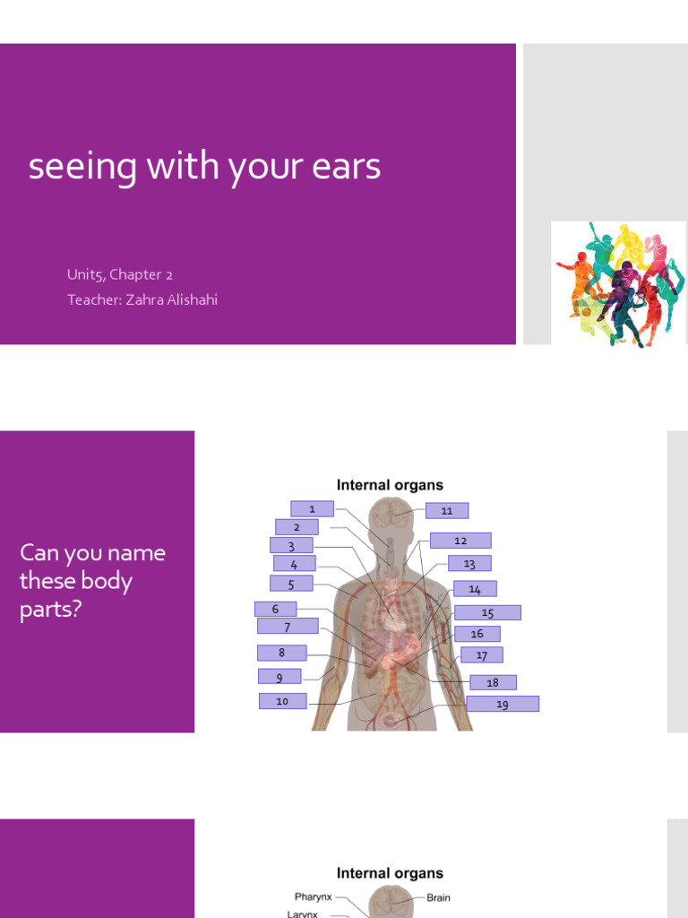 seeing with your ears | PDF