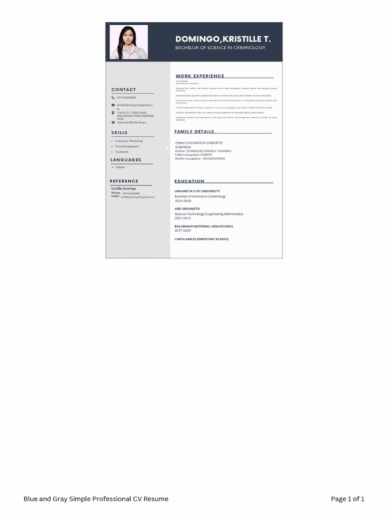 Blue and Gray Simple Professional CV Resume_20250127_133311_0000 | PDF