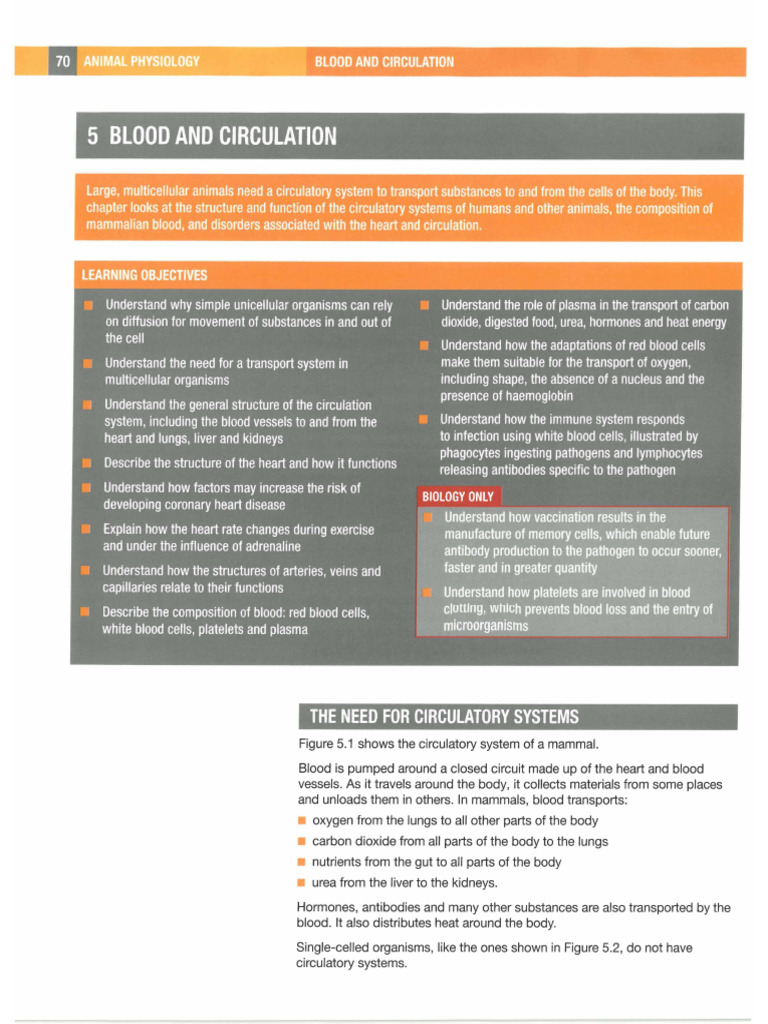 circulatory system | PDF