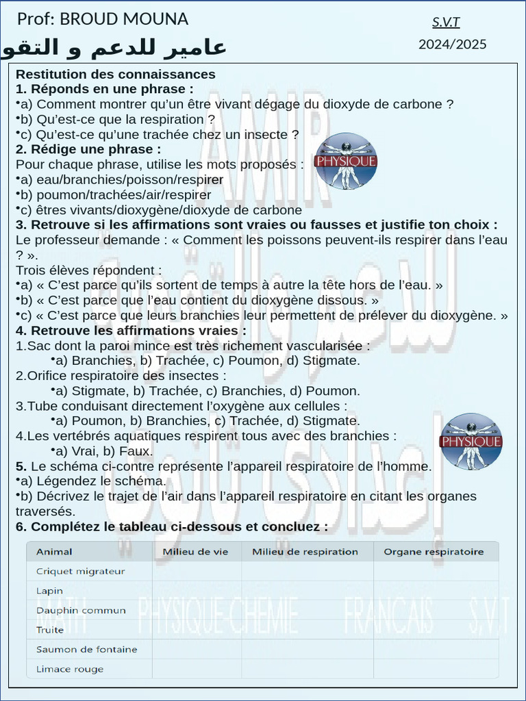 Serie 04 | PDF | Système respiratoire | Branchie
