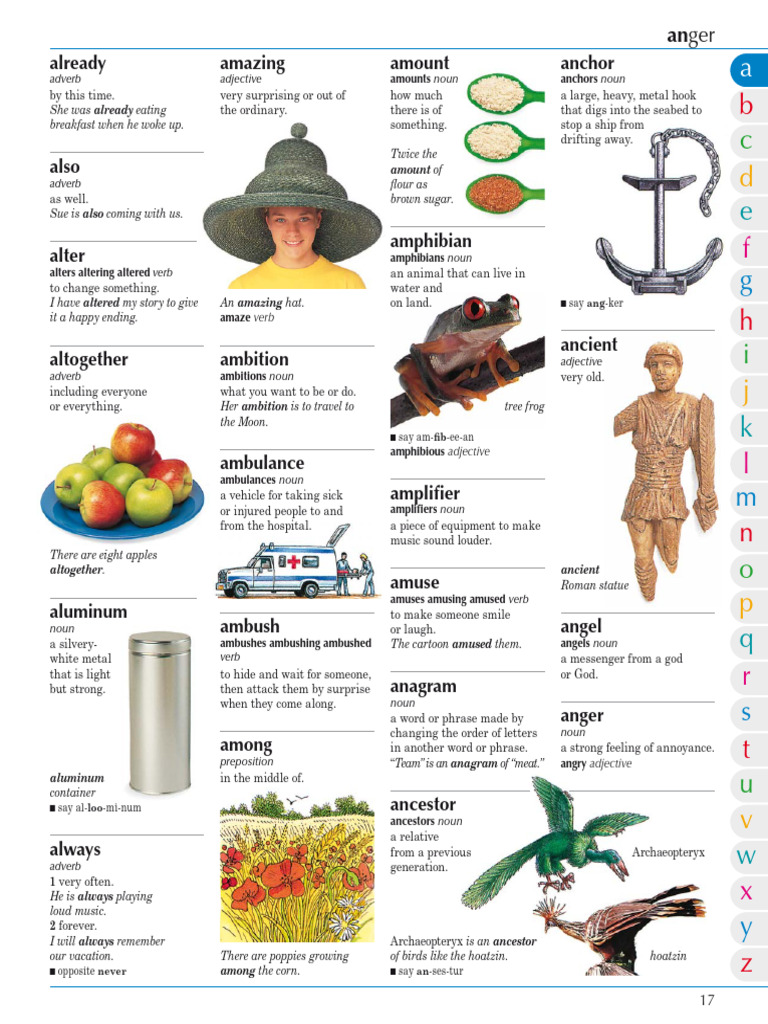 Children's Illustrated Dictionary | PDF | Adverb | Adjective