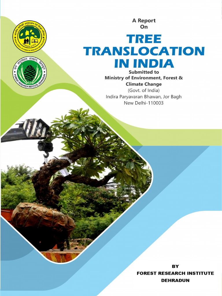Report Tree-Translocation | PDF | Pruning | Root