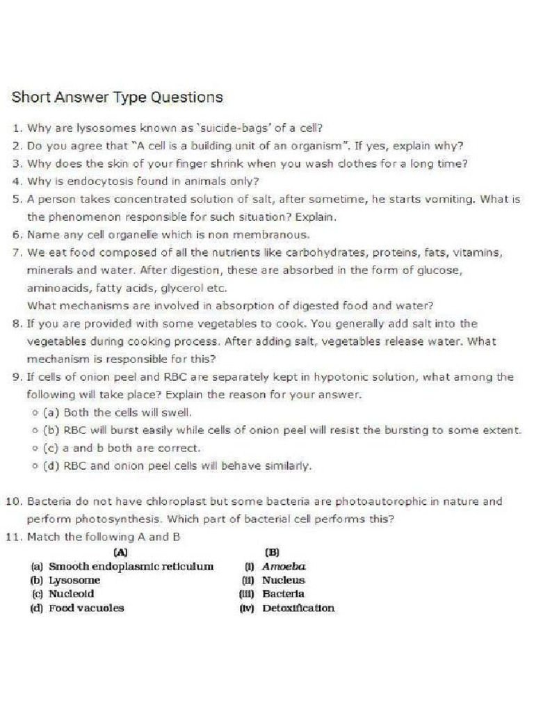 Cell Questions | PDF