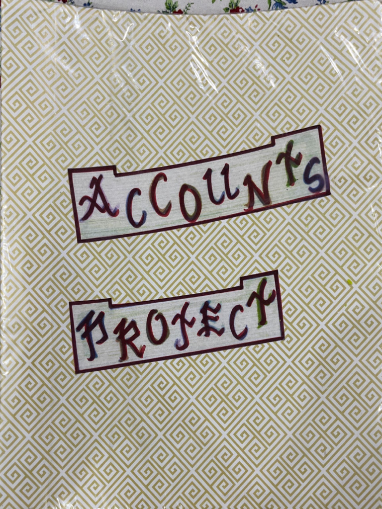 Accountancy Project Part 1 | PDF