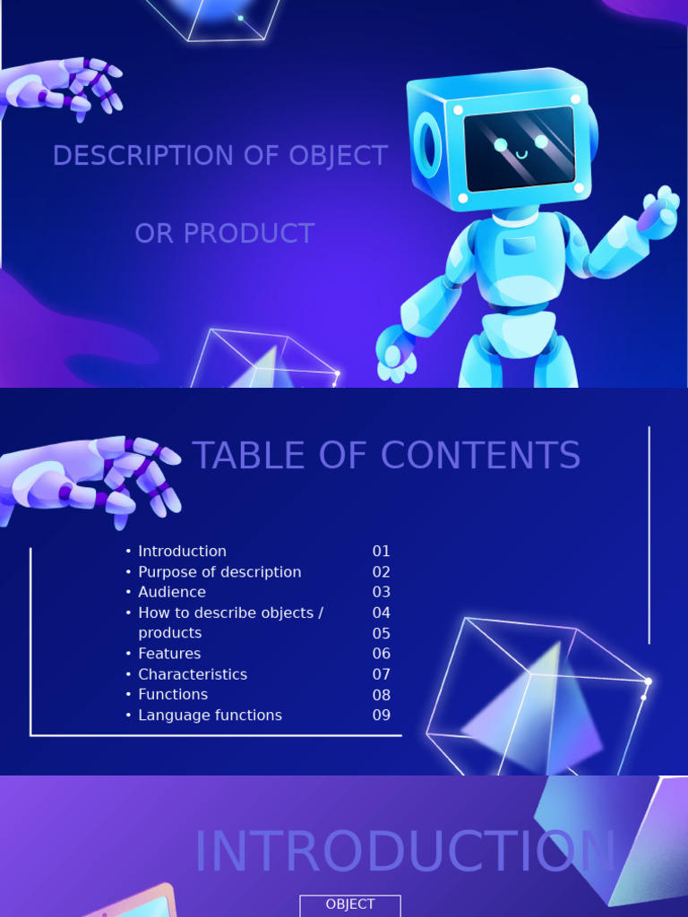 Description of Object or Product | PDF | Adjective