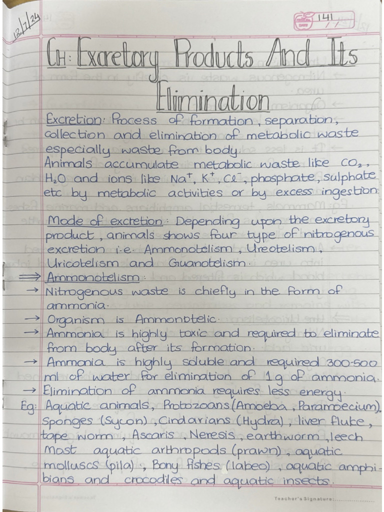 Excretion Notes | PDF