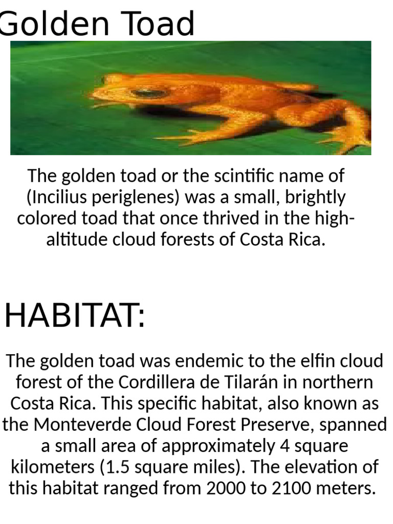 Golden Toad-WPS Office | PDF