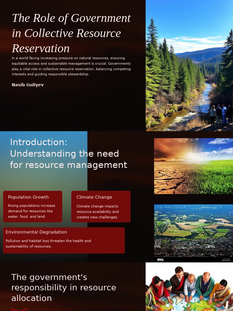 The Role of Government in Collective Resource Reservation | PDF