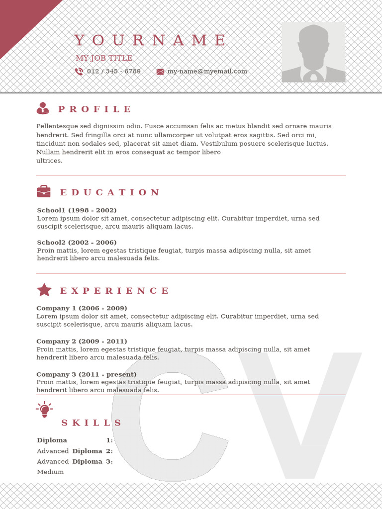 Curriculum Vitae Template PDF | PDF
