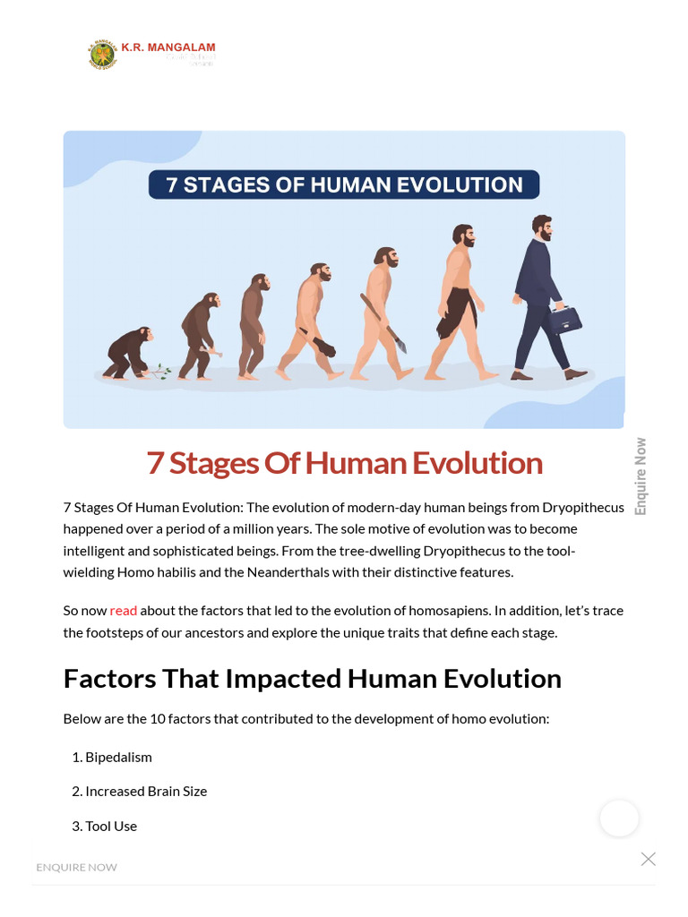 7 Stages of Human Evolution - Discoveries and Special Traits | PDF | Human Evolution | Homo
