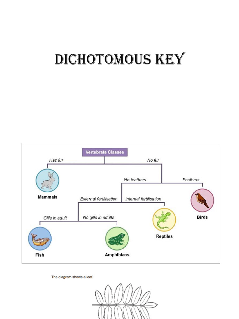 Unit-1 Dichotomous Key | PDF
