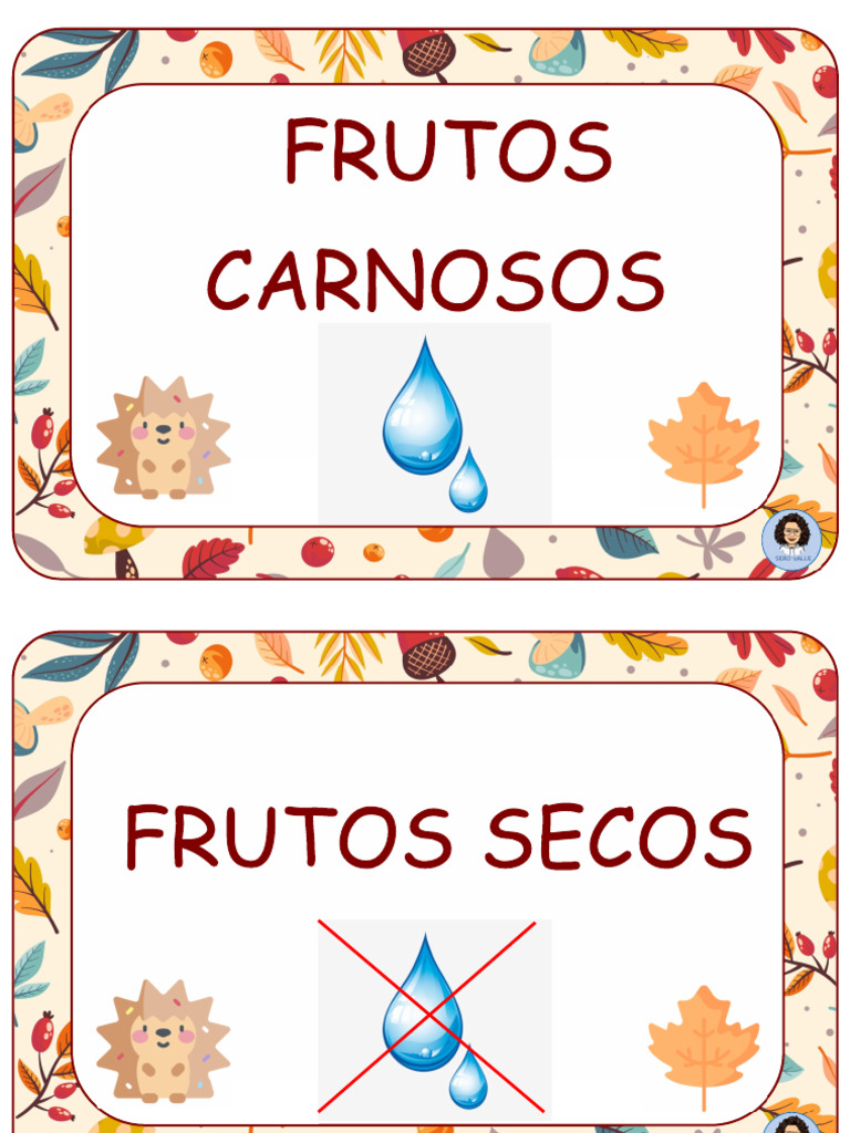 Carteles Frutos Secos y Carnosos | PDF
