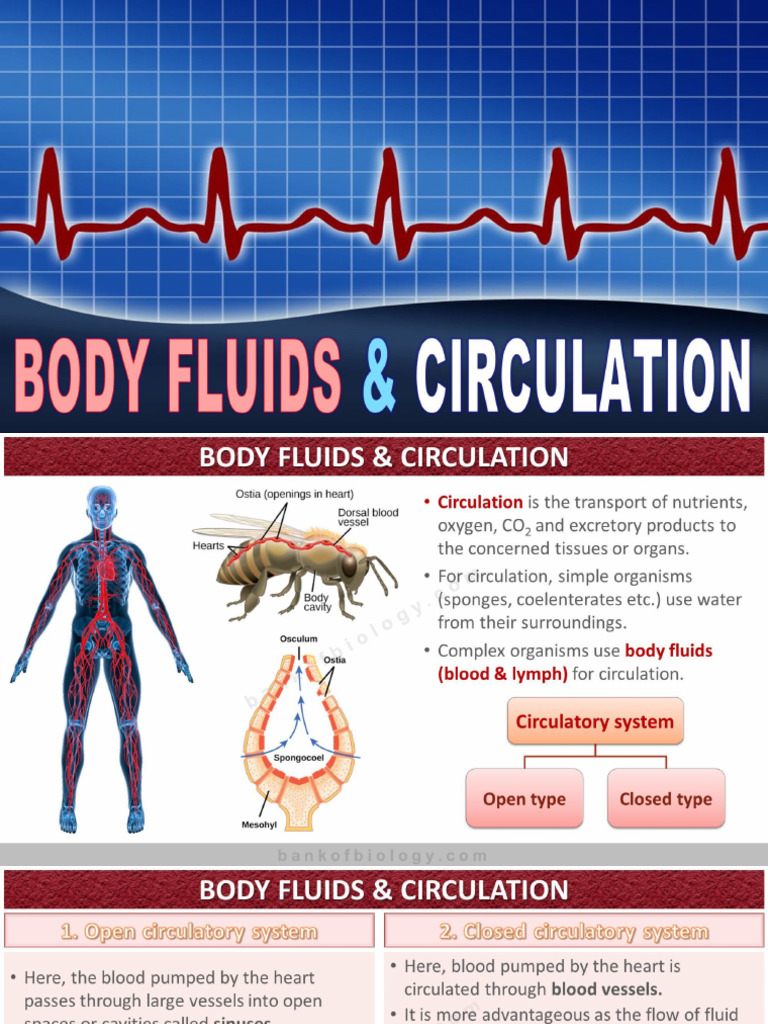 18 Body Fluids N Circulation - Picture Slides - Demo | PDF
