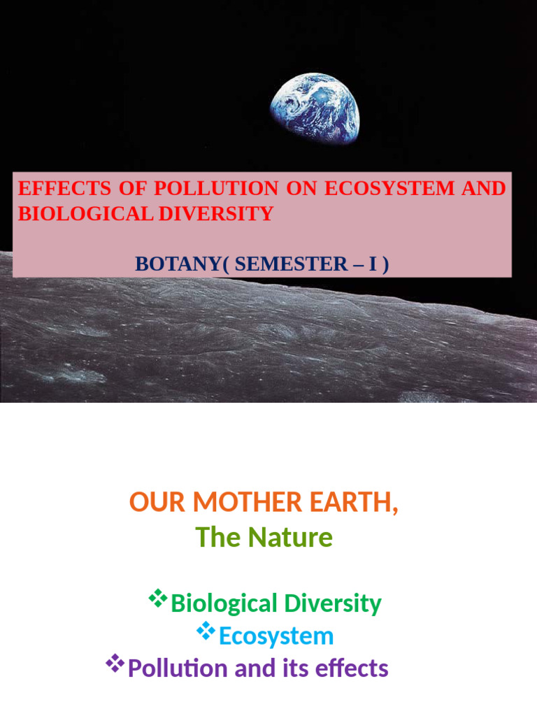 Presentation On Pollution | PDF | Eutrophication | Nature