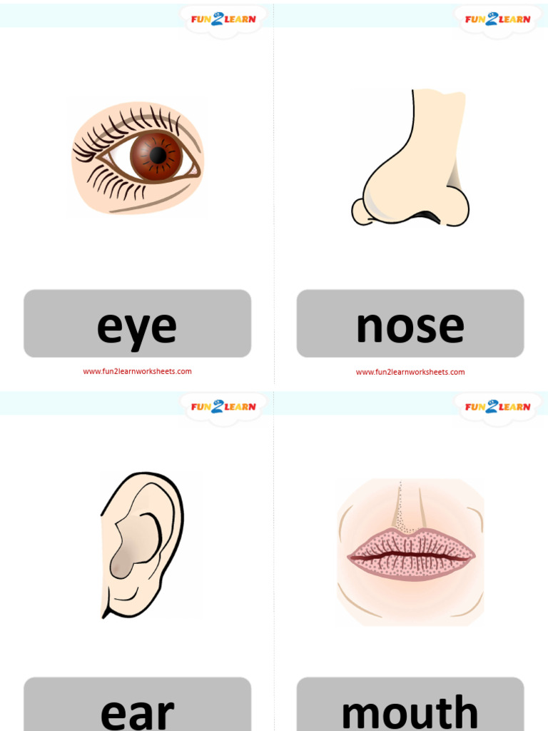 Flashcards Eye Nose Ear Mouth Toes Head Shoulder Knee f2l English | PDF