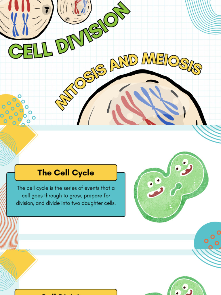 Cell-Division PPT | PDF