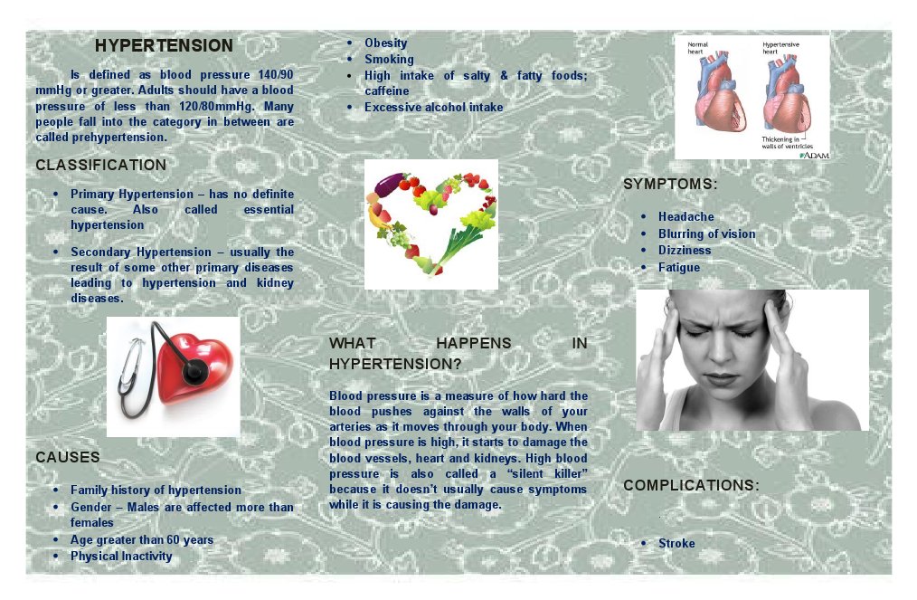 Hypertension Pamphlet | PDF