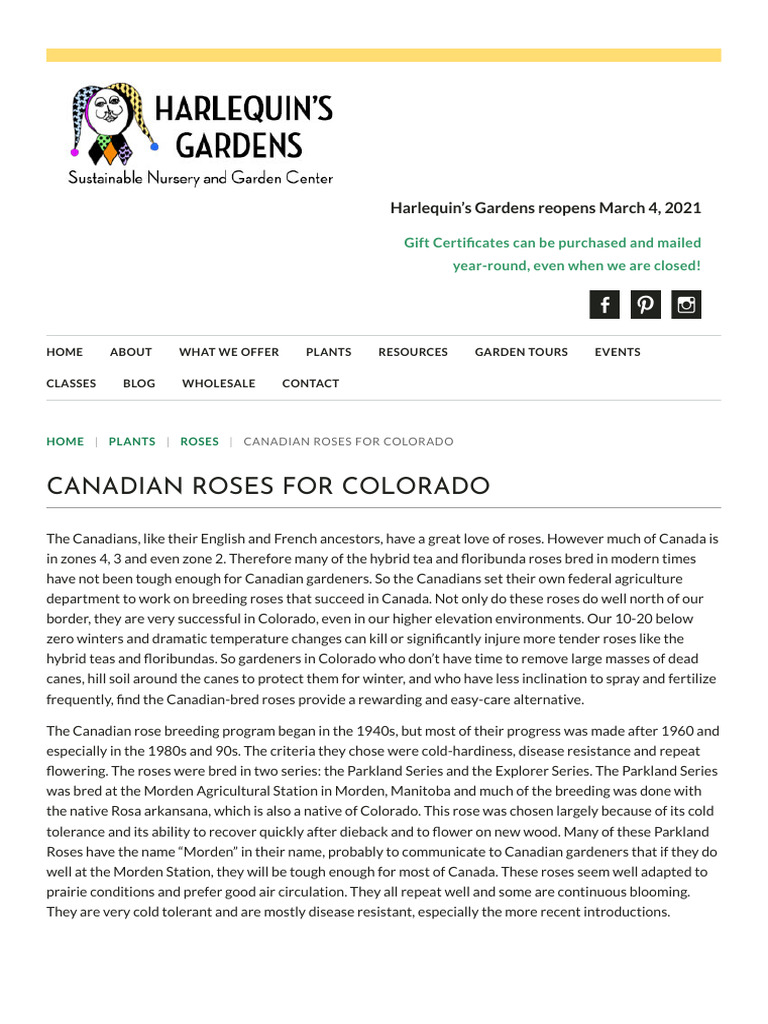 Canadian Roses For Colorado | PDF | Rose | Agriculture