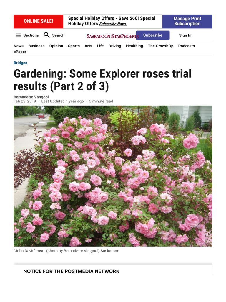 Gardening - Some Explorer Roses Trial Results (Part 2 of 3) - The Star ...